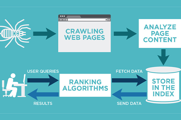 Search Engine Algorithm Everything You Need To Know