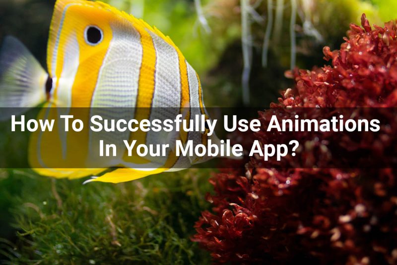 Mobile App Animation | How To Successfully Use Animation In Mobile Apps