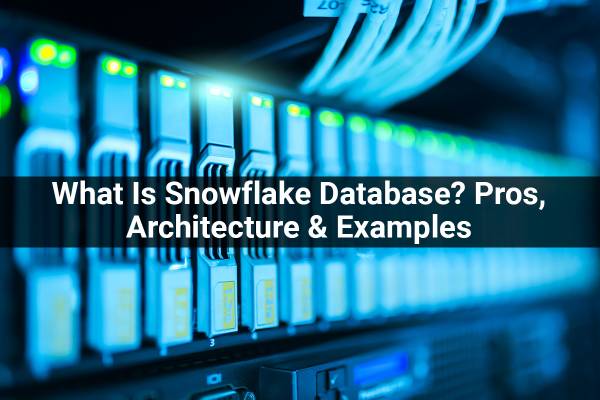 What Is Snowflake Database? Pros, Architecture & Examples
